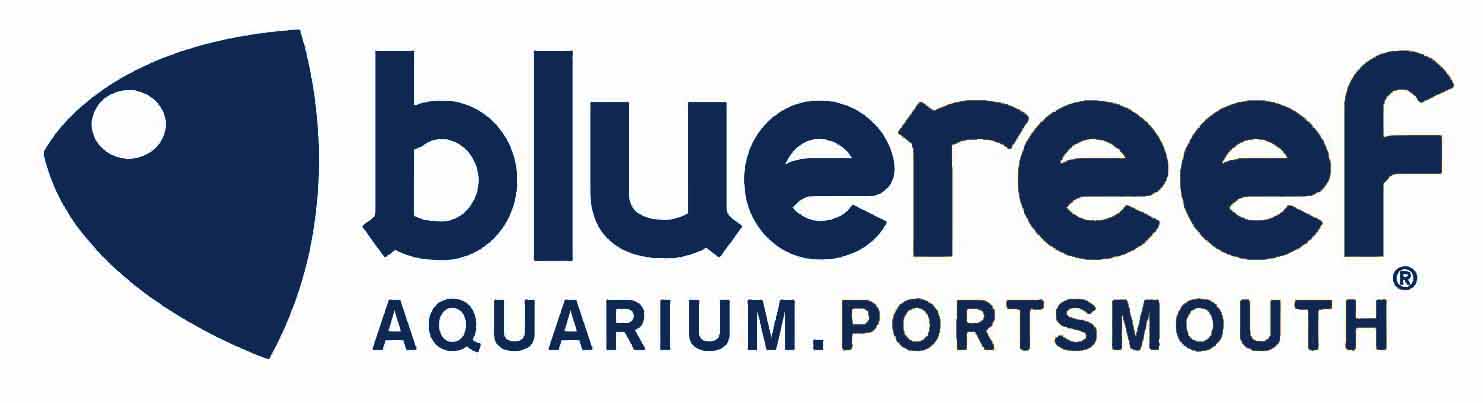 Blue Reef Portsmouth Ticket Menu