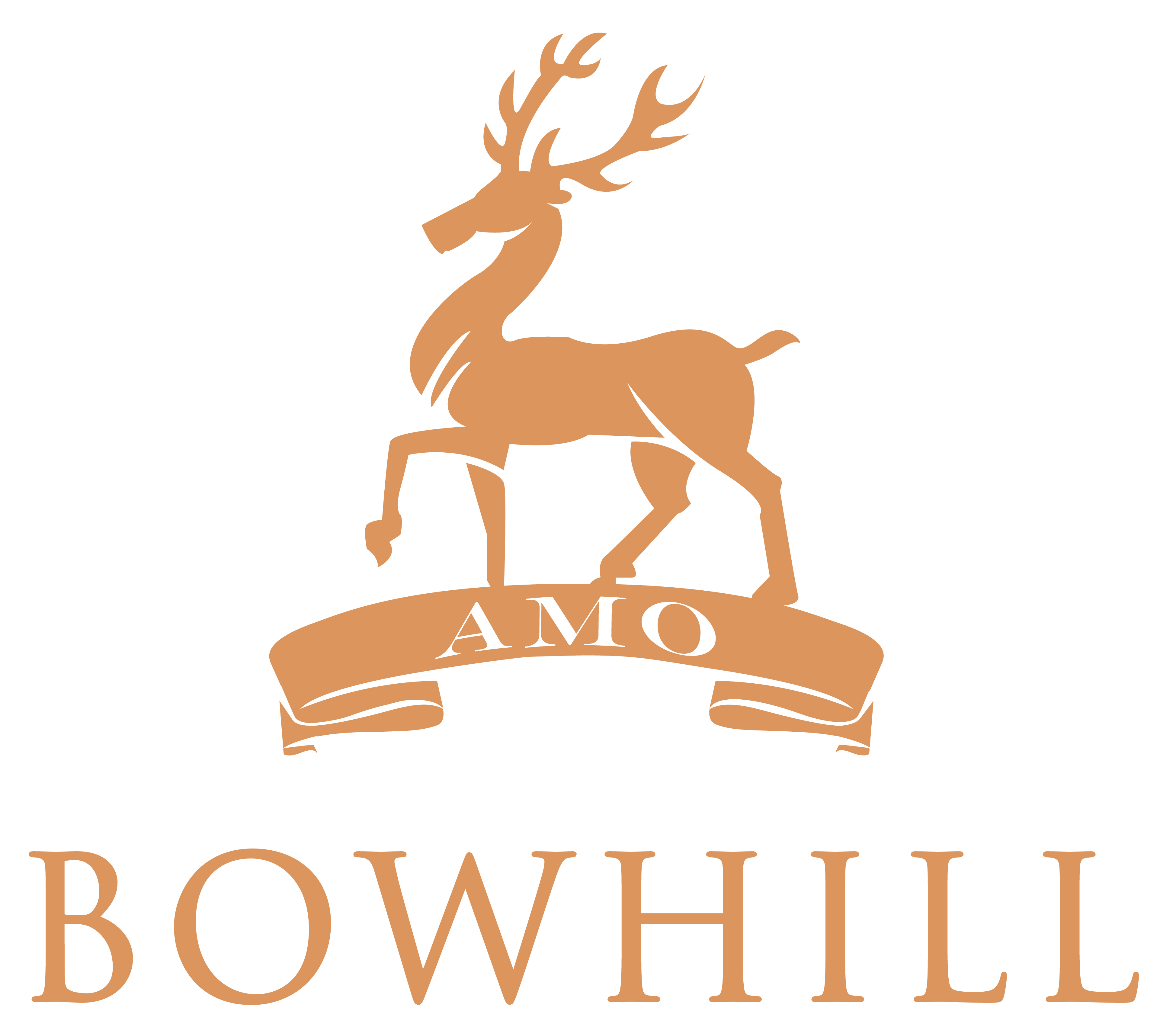 Bowhill House Tours